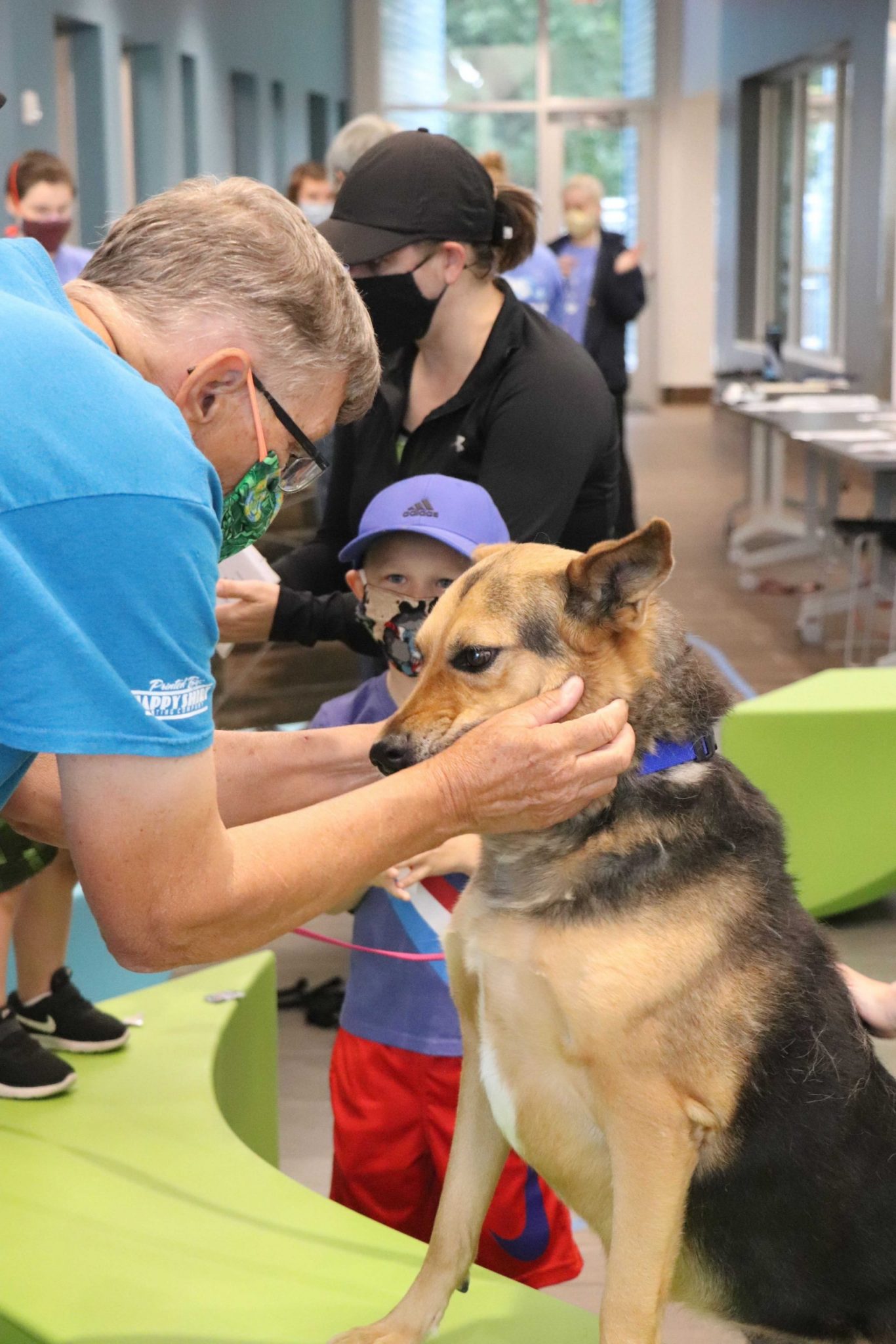 Seven Ways to Join Lawrence Humane Society’s Mission - Lawrence Humane