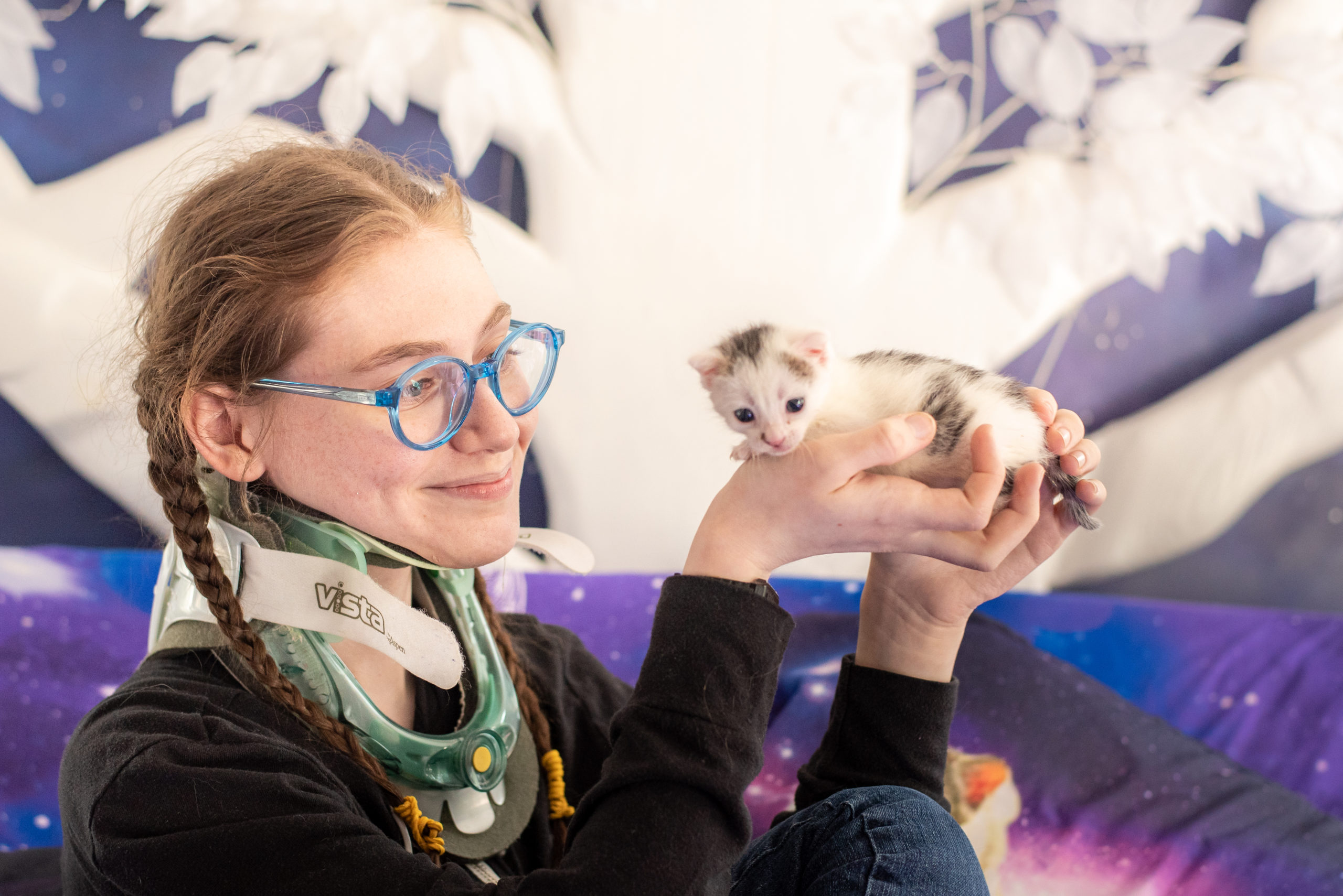 Kira's Kitten Kits - Lawrence Humane