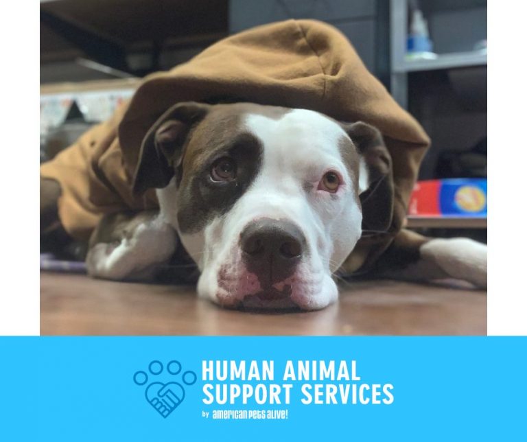 CPR Fund - Lawrence Humane