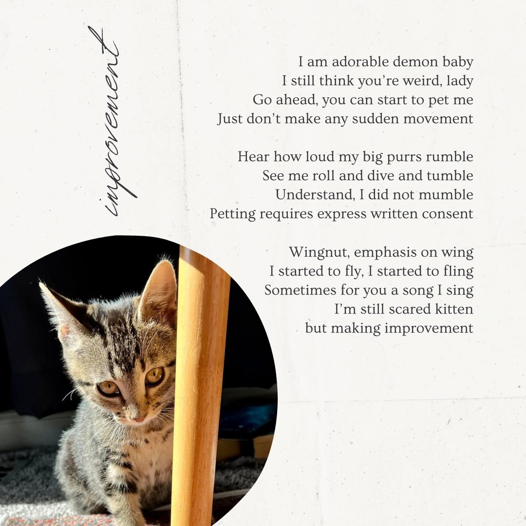 Spicy Kitten Poems - Lawrence Humane
