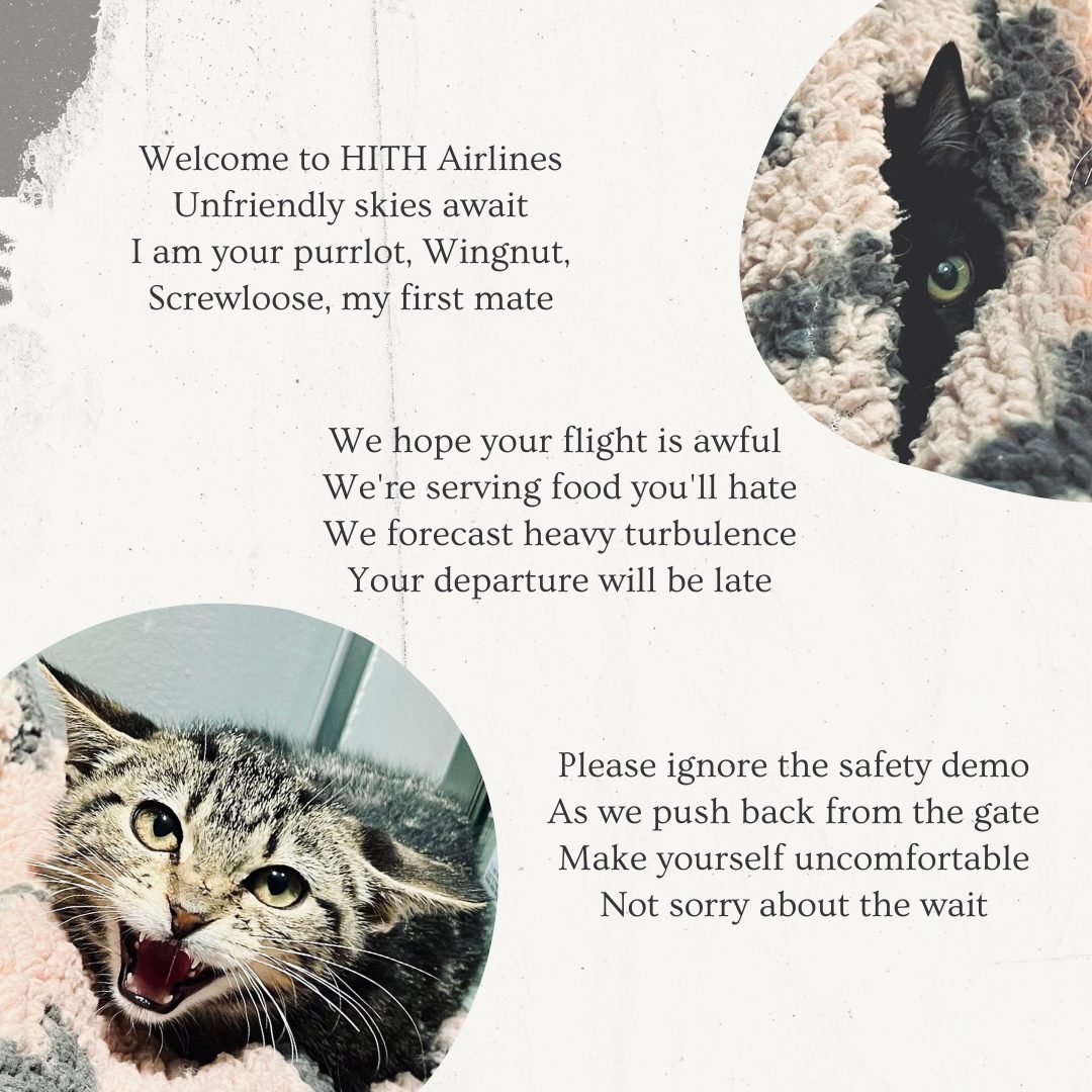 Spicy Kitten Poems - Lawrence Humane