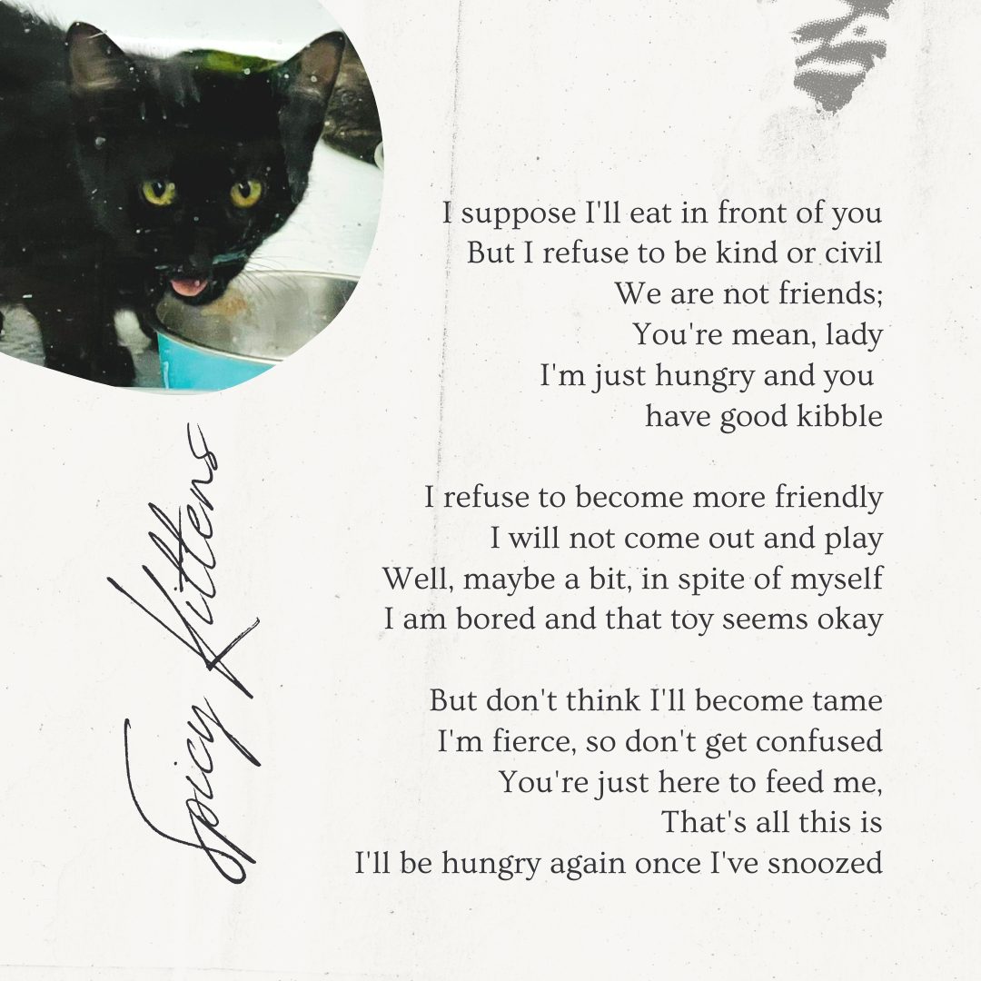 Spicy Kitten Poems - Lawrence Humane