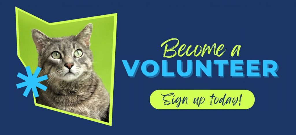 Volunteer - Lawrence Humane