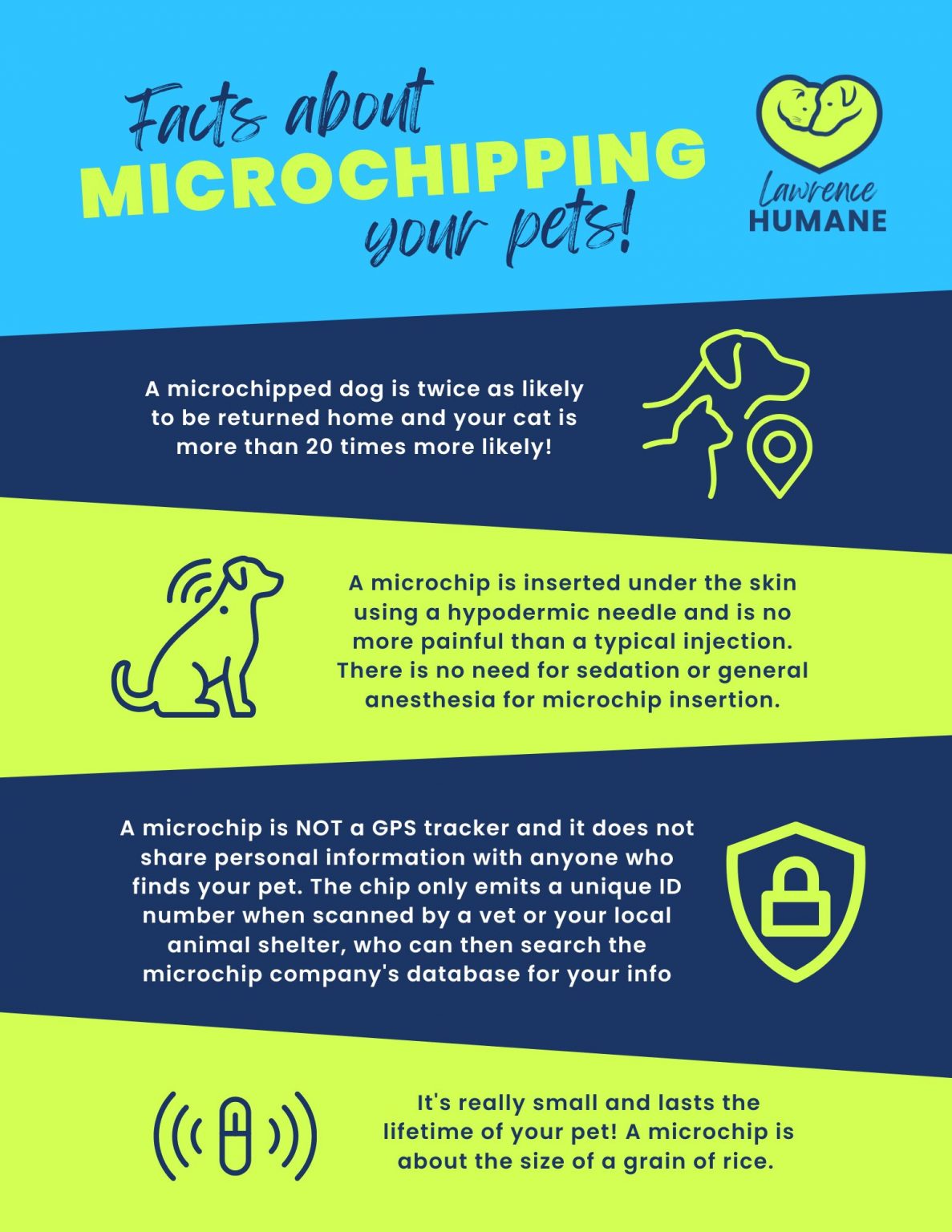 Facts About Microchipping Your Pet at Timothy Jeffords blog