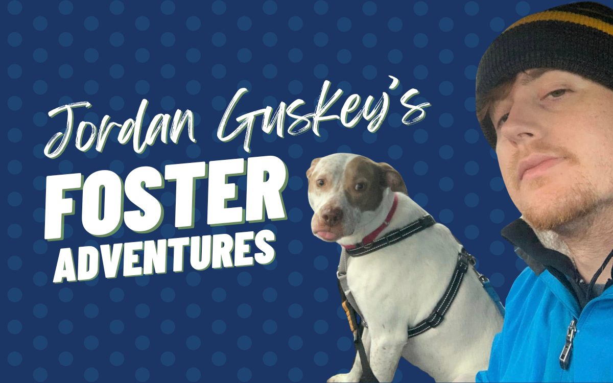 Jordan Guskey's Fostering Adventures - Lawrence Humane