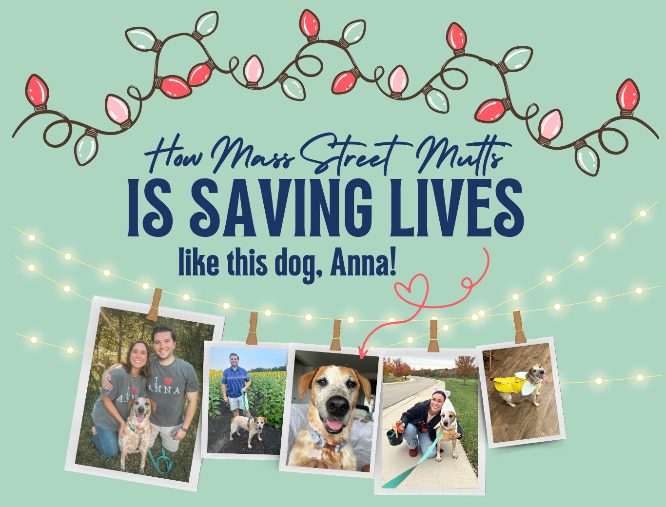 Anna - Lawrence Humane
